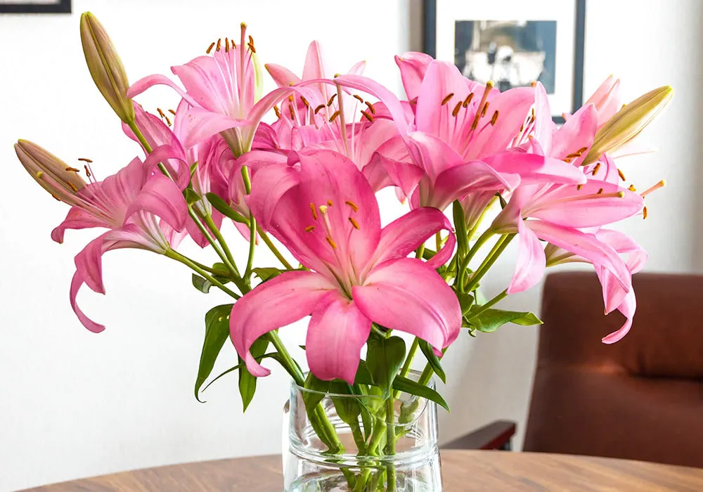 San Mateo Florist Same-day Delivery Since 1933 - Ah Sam Floral Co.