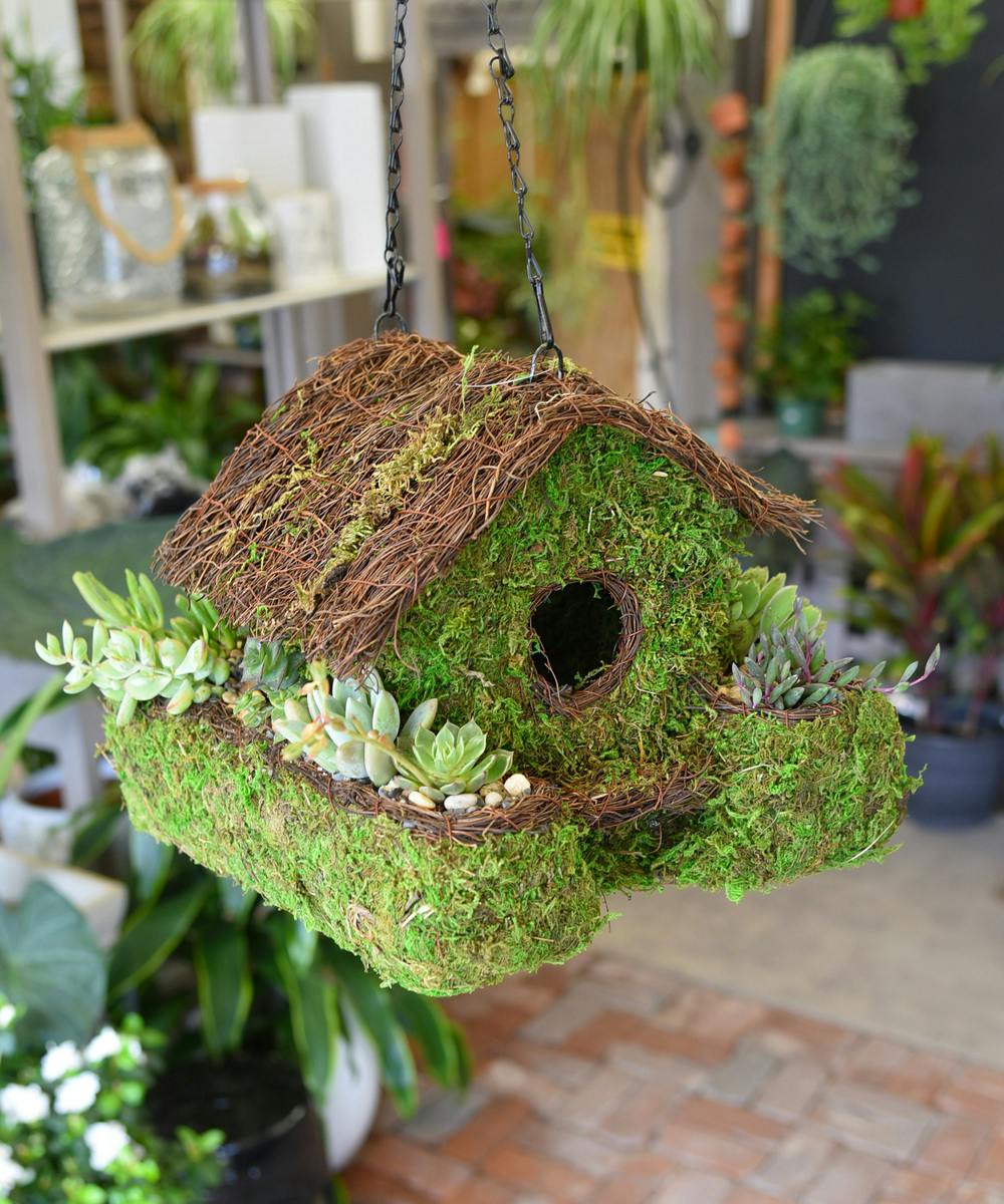 Succulent Patio Birdhouse | Bay Area (CA) Plant & Gift Delivery | Ah ...